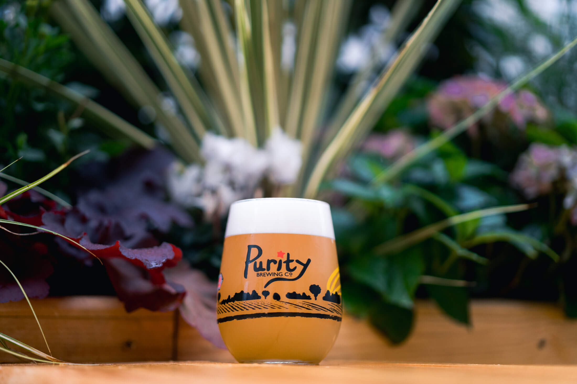 Purity Brewing Co. at Mostly Jazz Funk & Soul | Mostly Jazz Funk & Soul ...